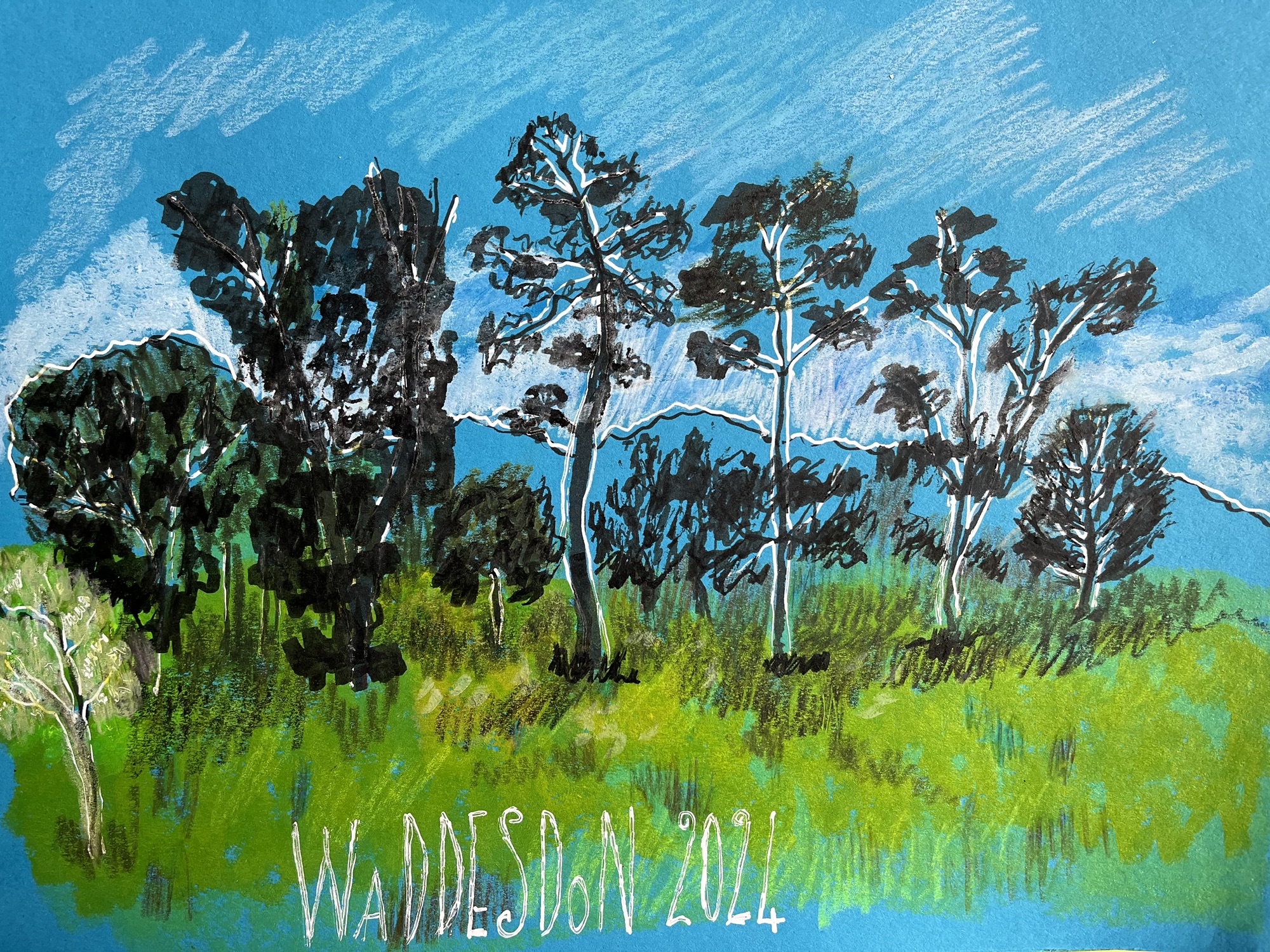 Waddesdon Manor Trees – Wendy Parker's Art Gallery
